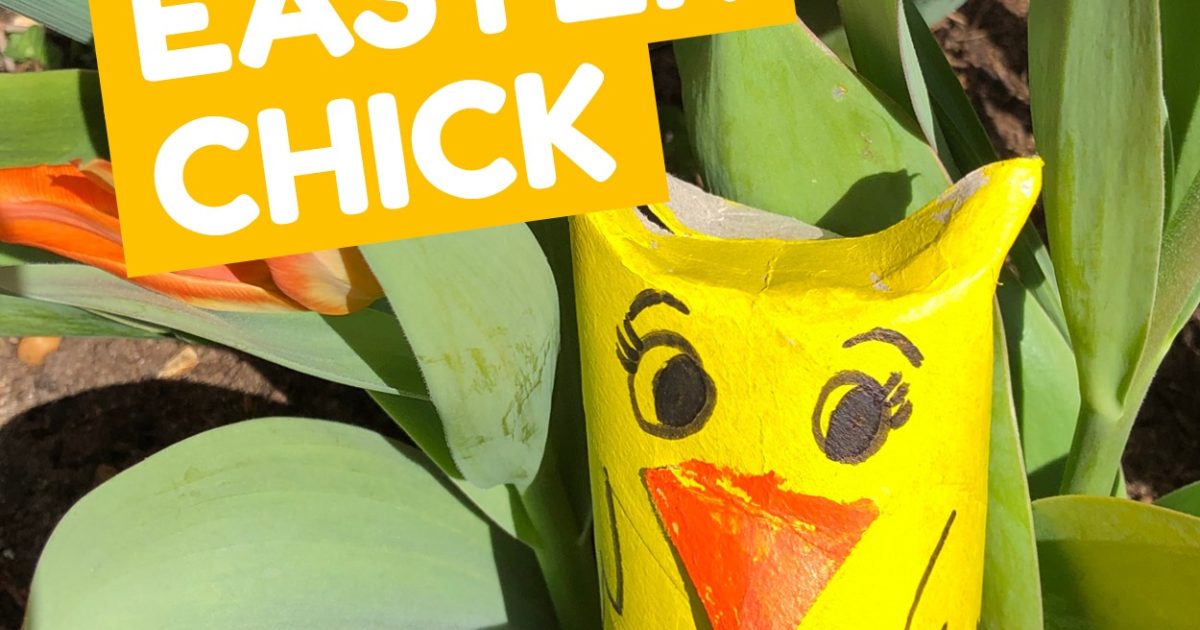 Easter Chick | Activities for Kids | Rainbow Trust Children's Charity